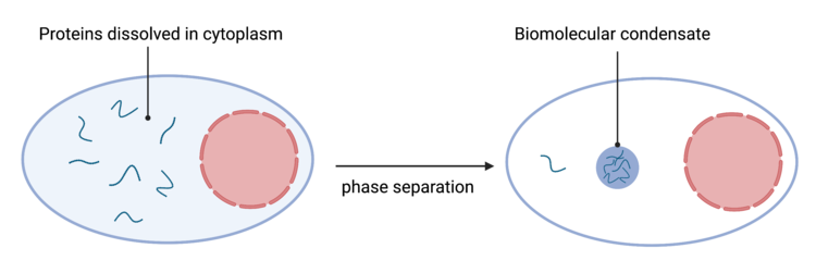 Research | Joseph Research Group