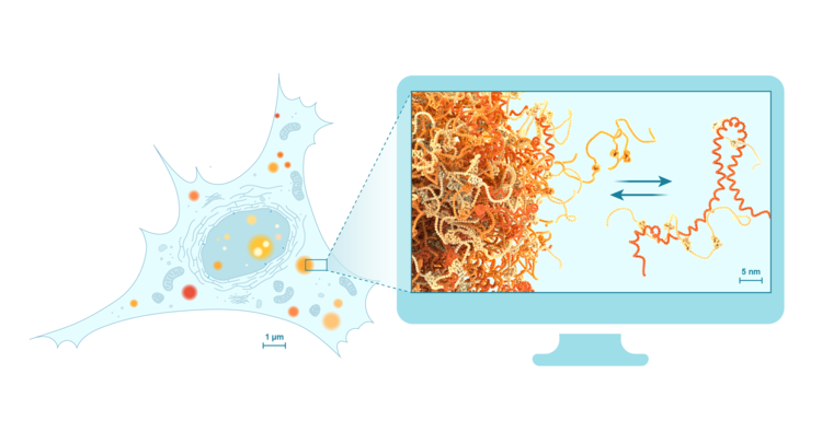 Joseph Research Group