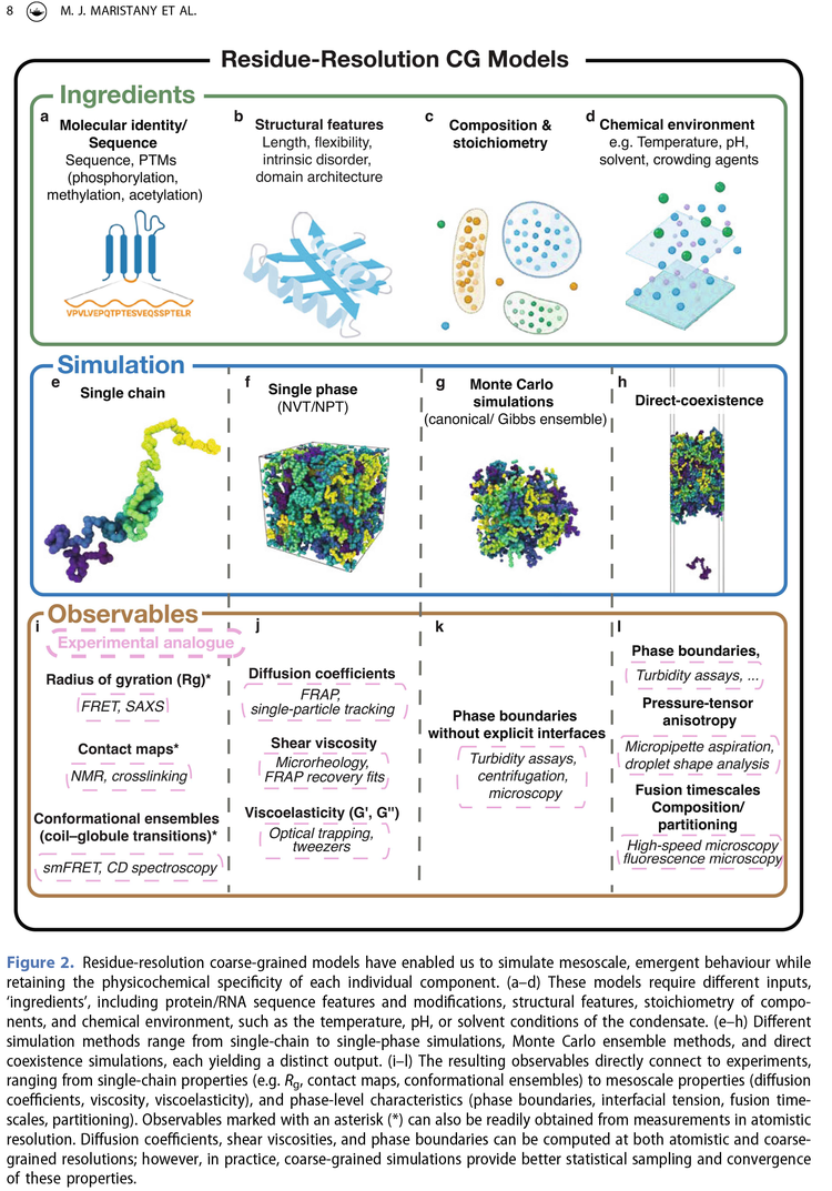 Modeling biomolecular condensates across scales: atomistic, coarse ...